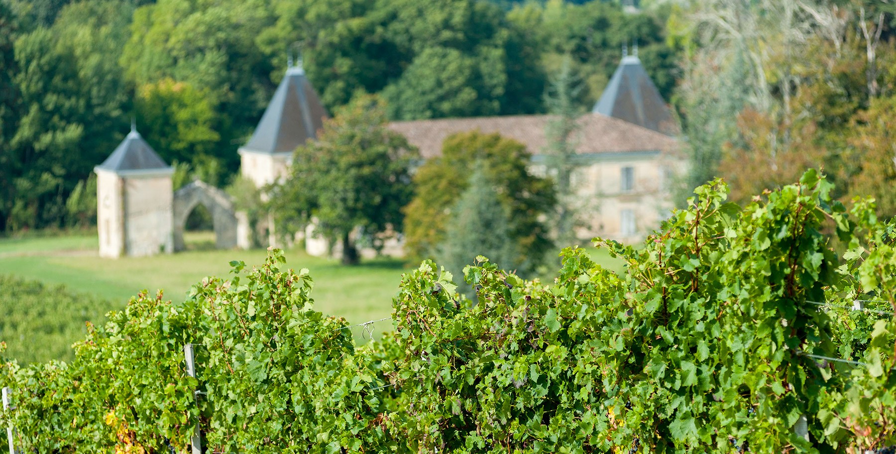 Nos Domaines - Cheval Quancard, Grands vins de Bordeaux