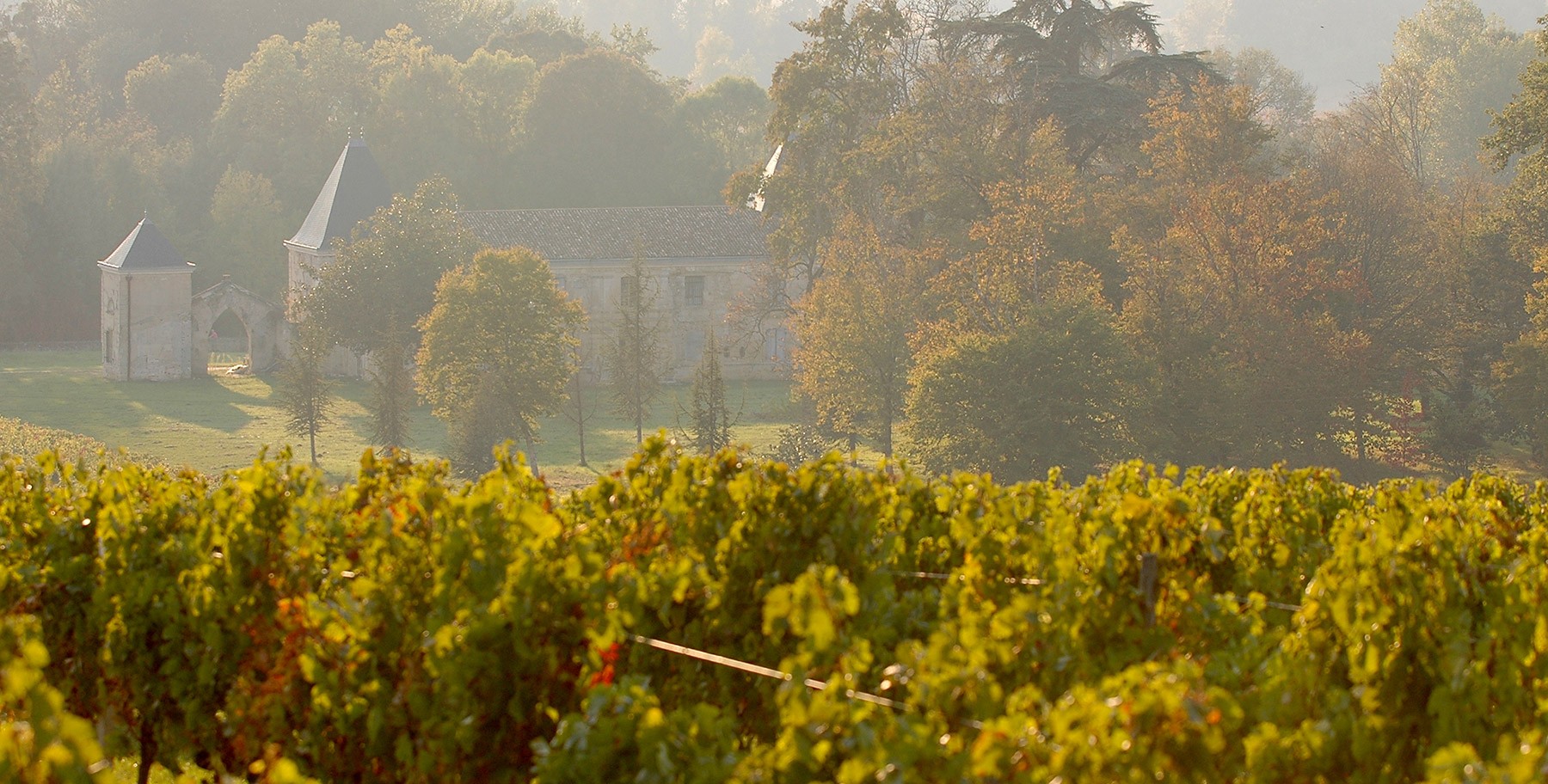 Nos Domaines - Cheval Quancard, Grands vins de Bordeaux