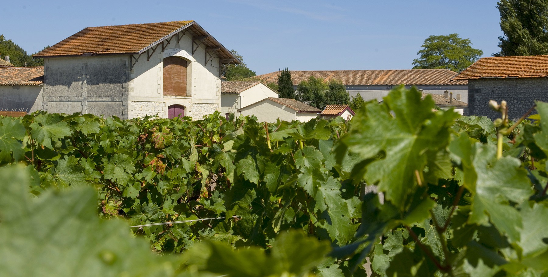 Our Vineyards - Cheval Quancard, Grands vins de Bordeaux